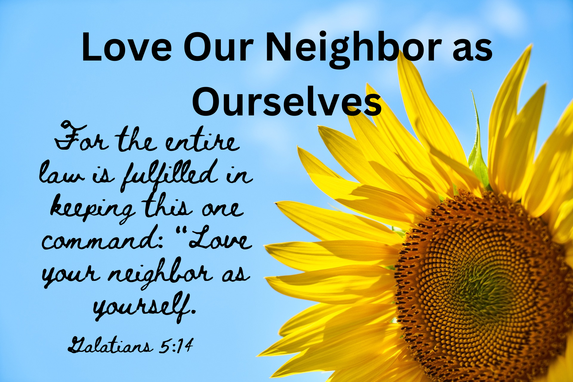 Love Our Neighbor as Ourselves - Yvonne M Morgan