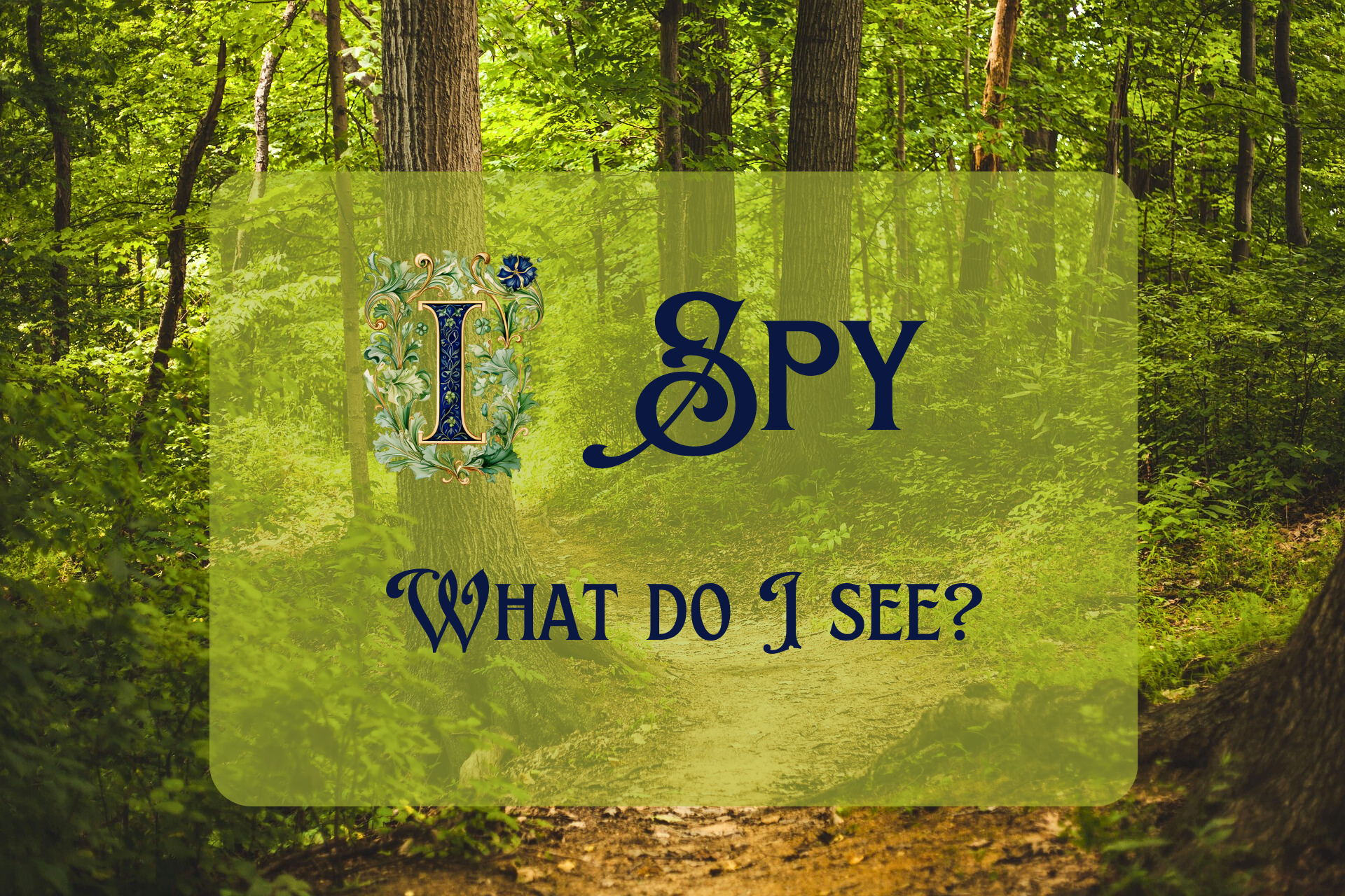I Spy and What Do I See? - Yvonne M Morgan